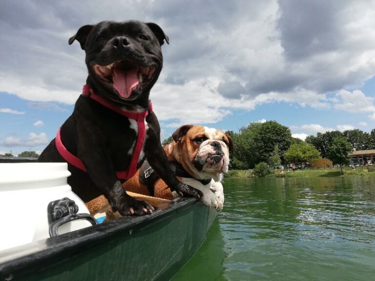 Base de Longeville | Canoë Kayak, Loisirs au bord du Lac à Ambronay